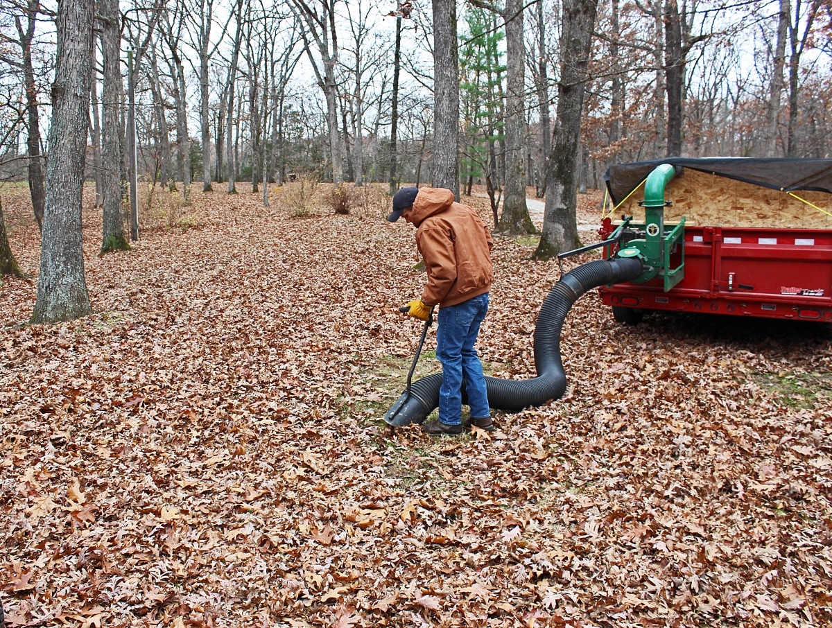 Leaf Removal | Fall Clean Up | Ginter's Lawn and Landscape