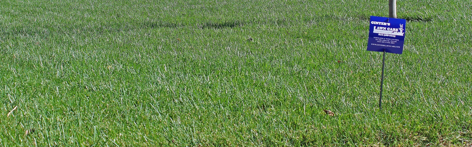 Ginter's Fertilizer - Ginter's Lawn & Landscape